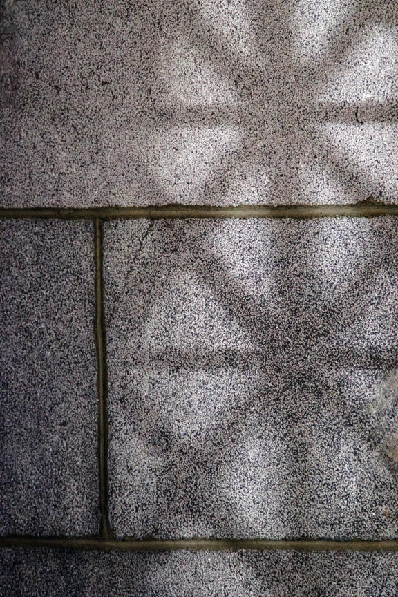 Translucent Concrete Texture